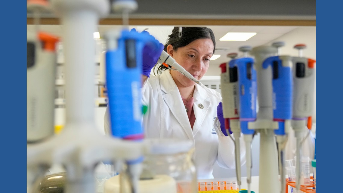 Tools to fight hantavirus show promise despite limited funding. Now ...