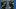 Reflecting Pool liner was cut with a sharp knife or razor, National ...