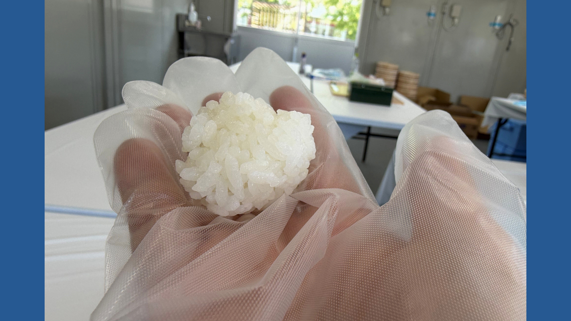 Once the preserve of elite chefs, sushi-making can be fun | kvue.com