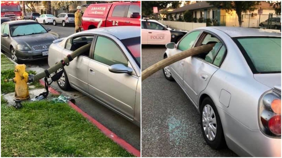California resident learns the hard way why you shouldn't park in front ...
