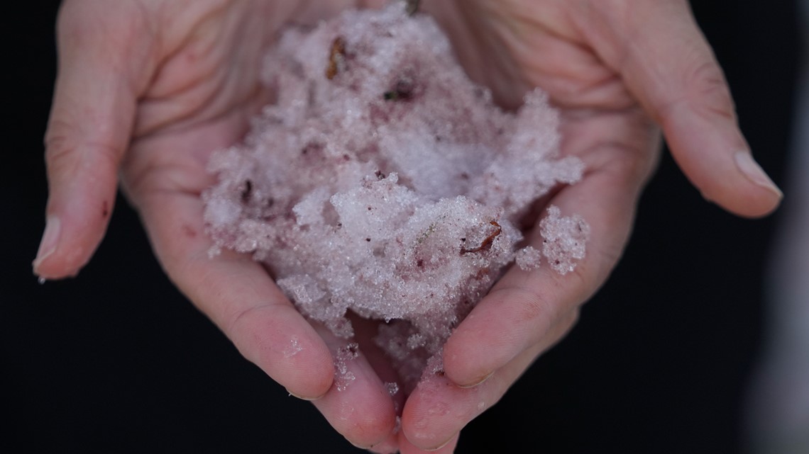 What is Watermelon snow? Pinkish snow in Utah piques curiosities | kvue.com