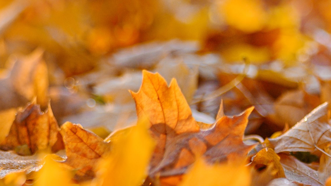 When does fall start in 2022? Autumn equinox | kvue.com
