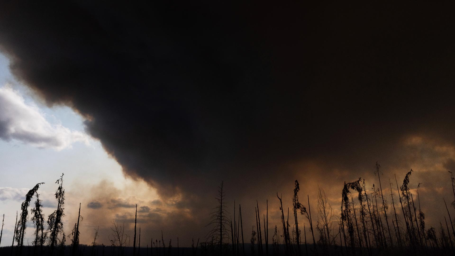 ACL Fest releases 2024 daily schedules | kvue.com