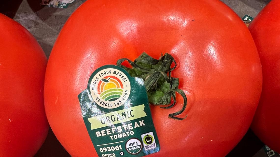 Fuzz Lab in Austin's West Campus offers 'tufting' training | kvue.com