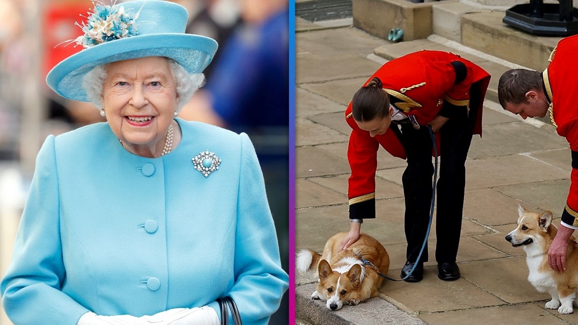 Queen Elizabeth II Was Comforted By Her Beloved Corgis 'In Her Final ...