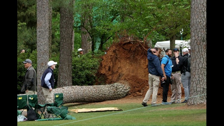 The Masters Grinds to a Halt After Massive Pine Trees Topple Over and ...