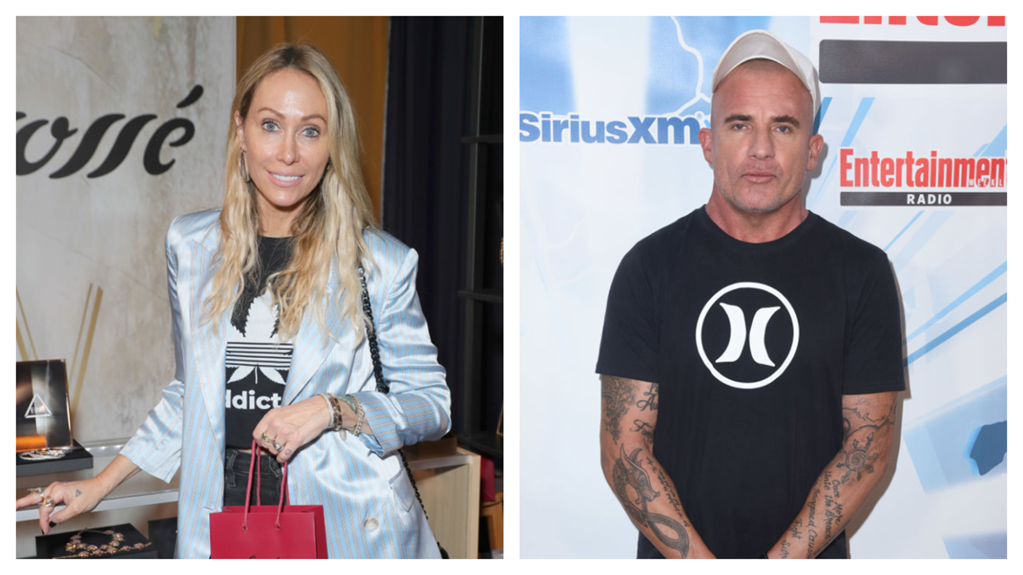 Tish Cyrus Admits to 'Issues' in Dominic Purcell Marriage but Says She ...