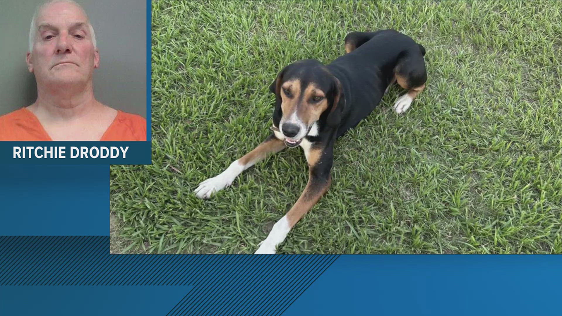 Jasper man arrested for fatally shooting dog | kvue.com