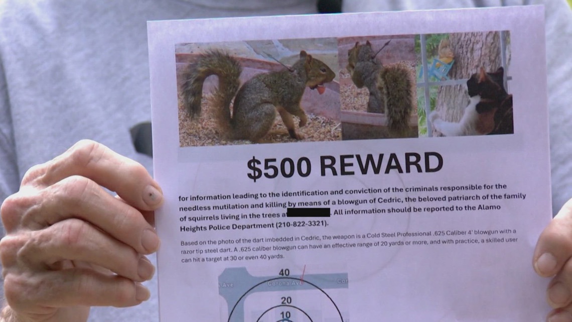 Alamo Heights resident offers reward to catch squirrel killer | kvue.com
