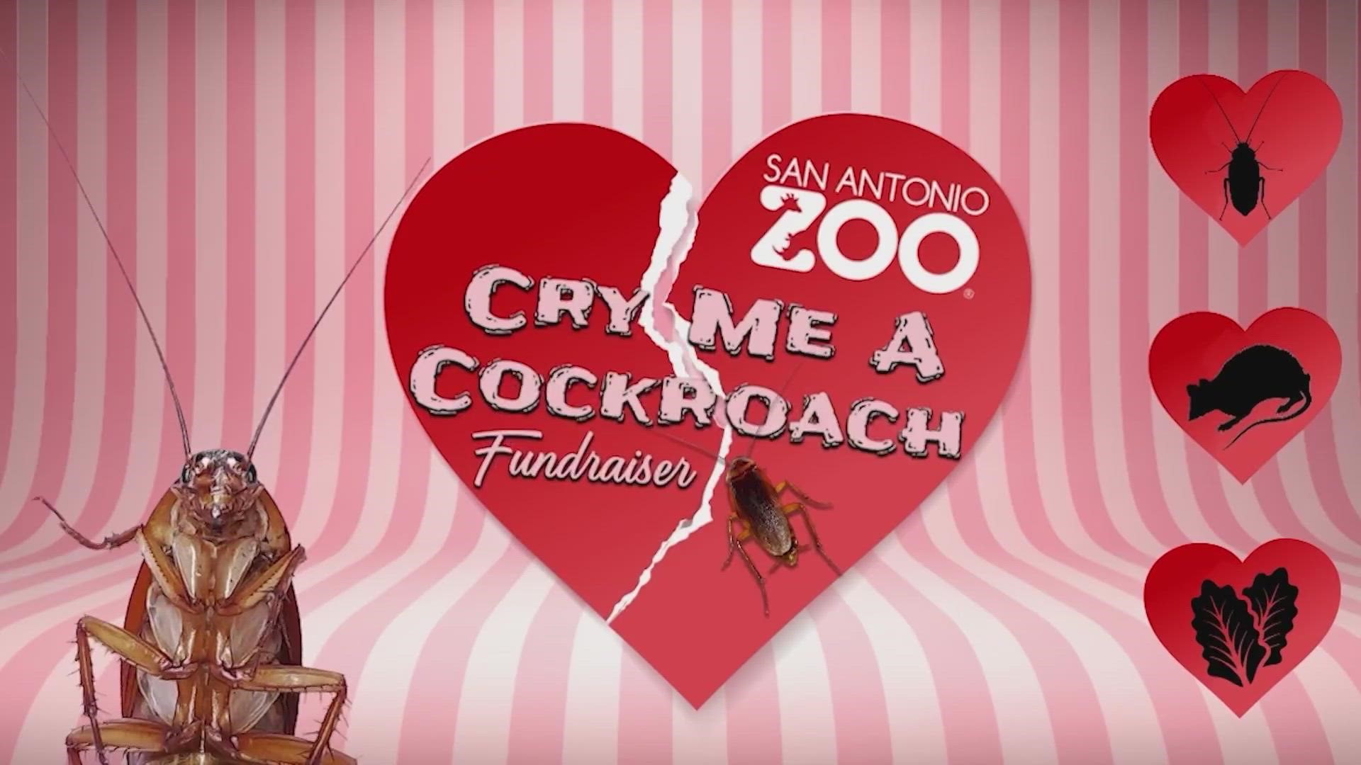 Need a Valentine's gift for your ex? San Antonio Zoo brings back 'Cry ...