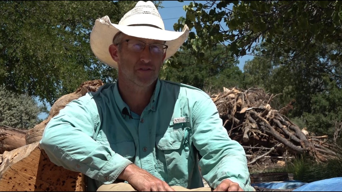 Texas carpenter salvaging uprooted trees after catastrophic floods ...