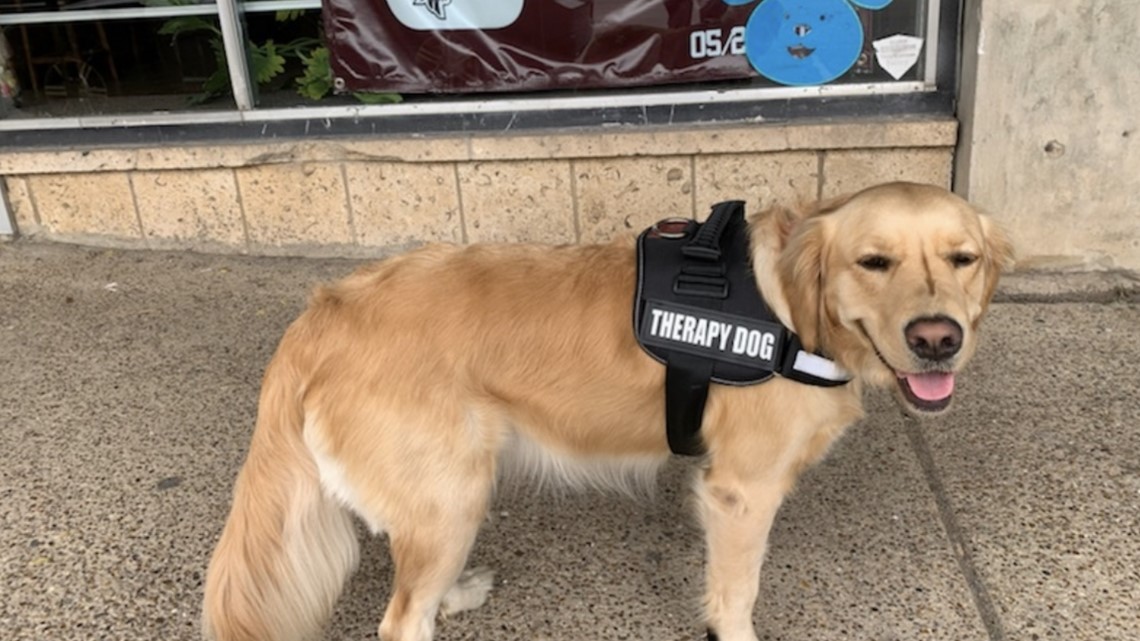 Uvalde shooting one year later: Therapy dog comforts community | kvue.com