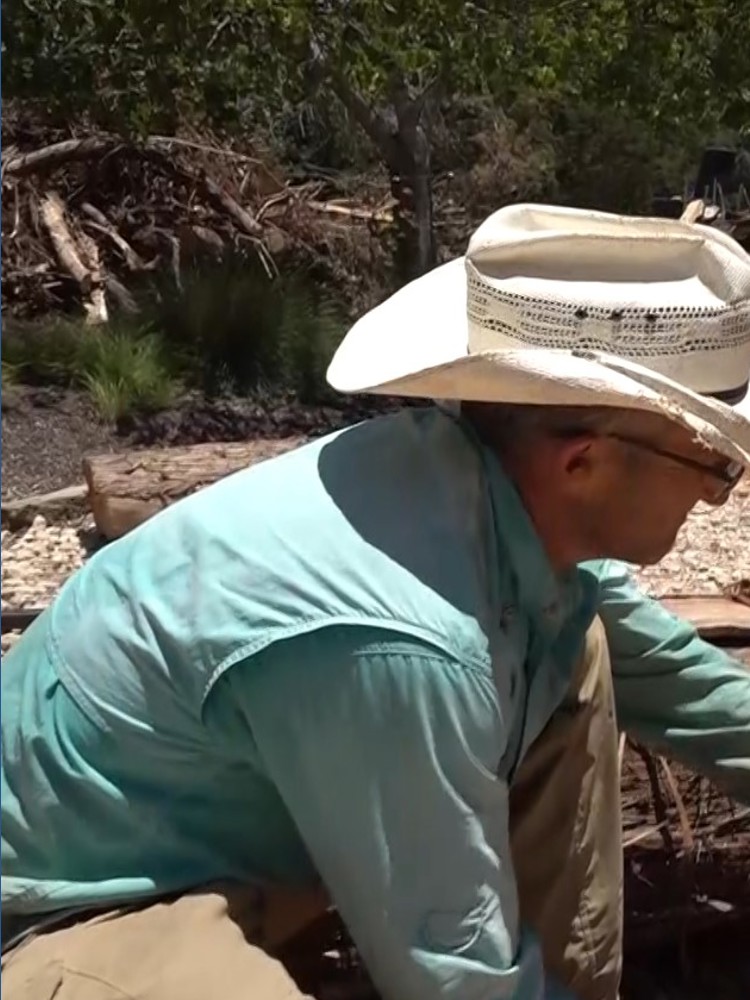 Texas carpenter salvaging uprooted trees after catastrophic floods ...