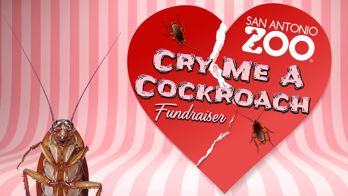 Name a rat or roach after an ex, watch it get eaten by zoo animal ...