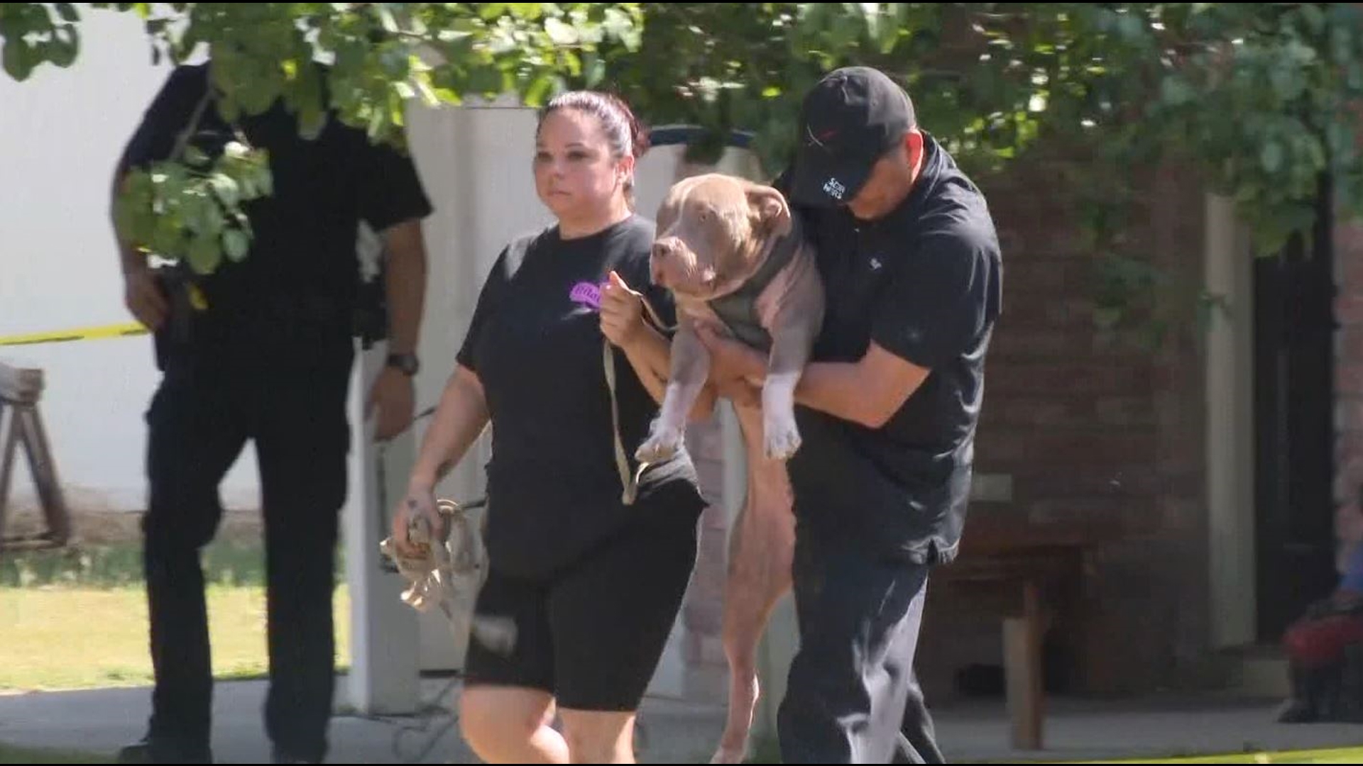 Baby boy seriously hurt after being mauled by dogs in Texas home | kvue.com