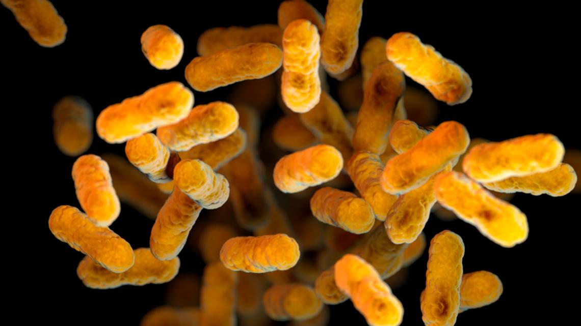 APH seeing uptick in whooping cough as Austin ISD reports multiple ...