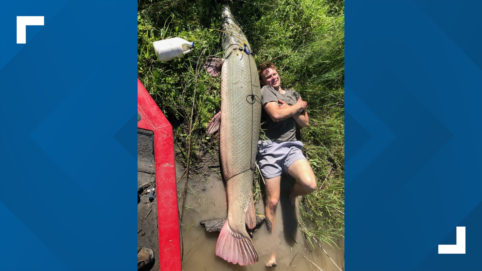 Texas angler lays next to record alligator gar | kvue.com