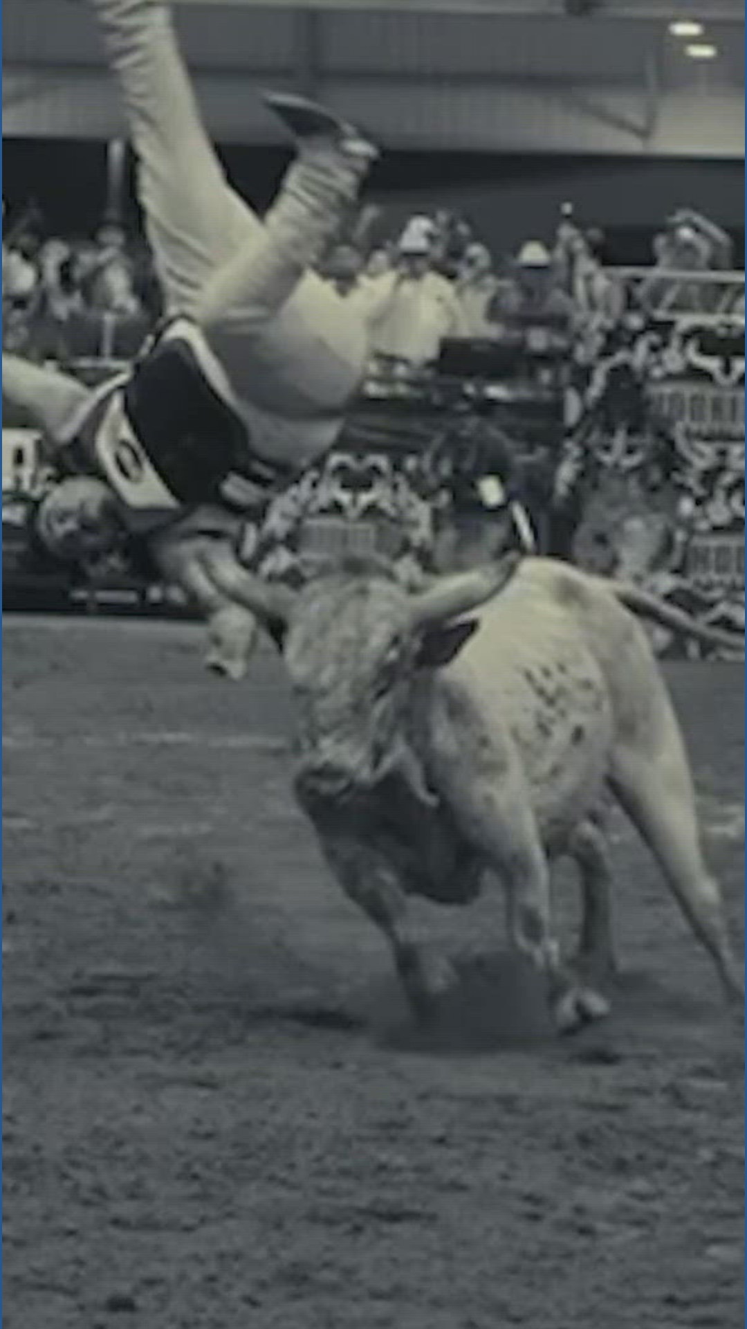 Video: Houston rapper sent flying by bull at rodeo in Ft. Bend County ...