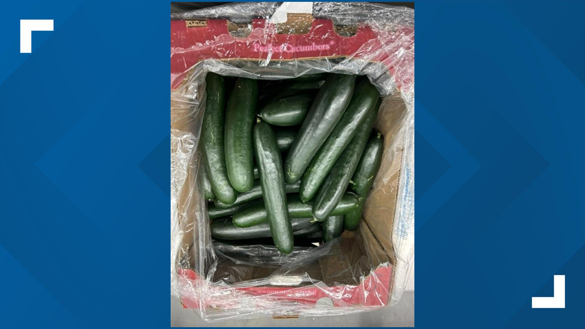 Cucumber recall: Texas among several states where they were sold | kvue.com