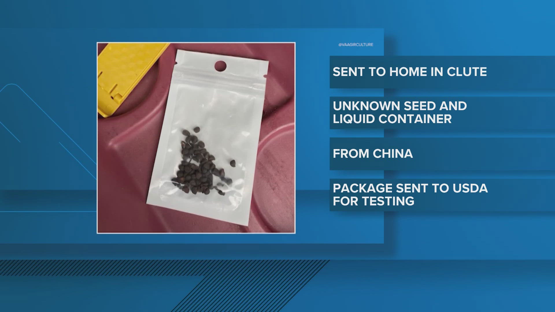 What to do if you get a package of seeds from China | kvue.com