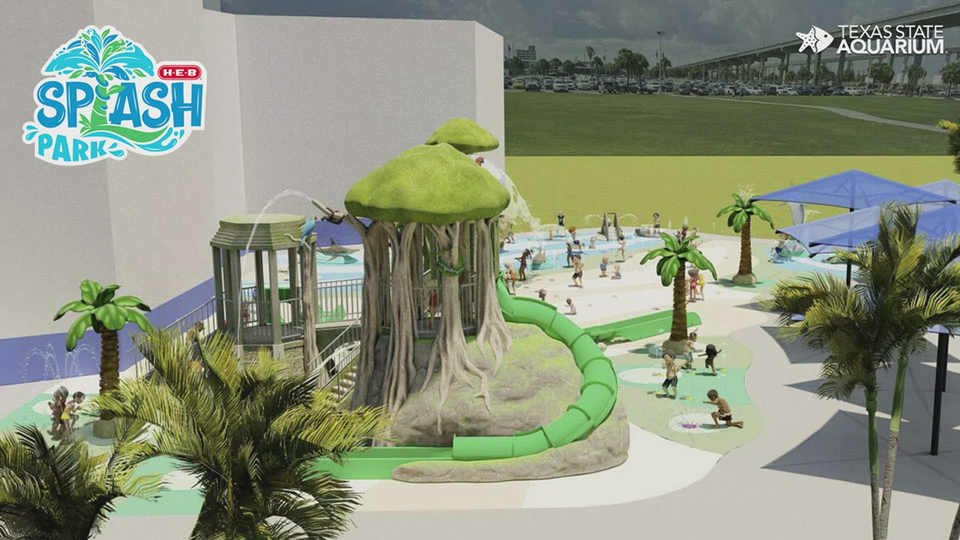 Texas State Aquarium's H-E-B splash park opens | kvue.com