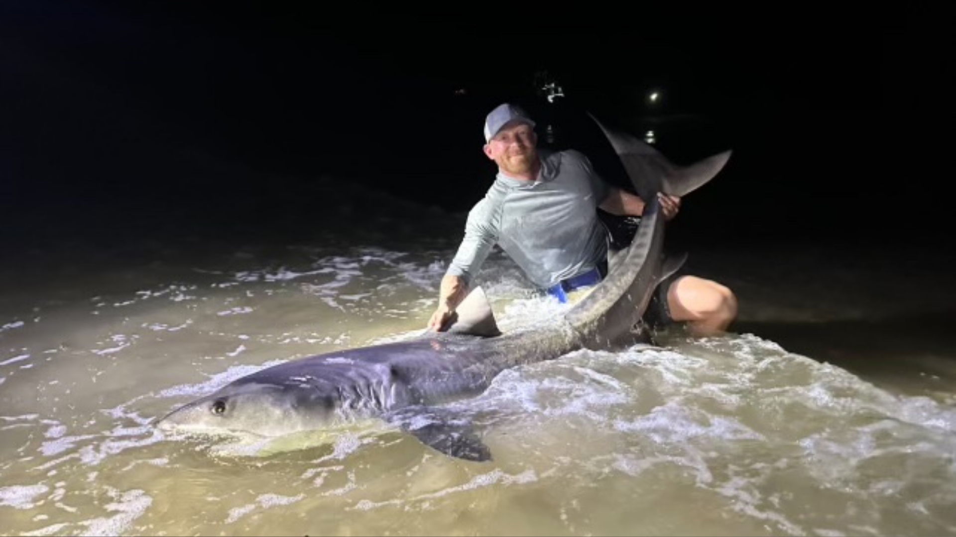 Texas angler catches, releases giant shark in Corpus Christi | kvue.com
