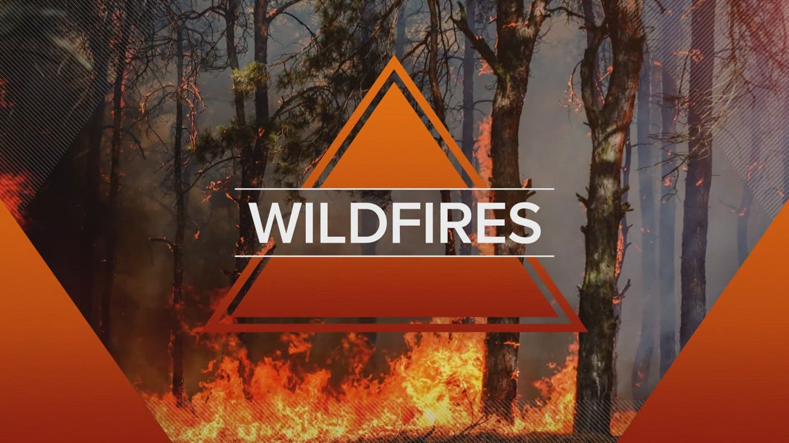 Austin wildfire risk: Map shows danger by neighborhood | kvue.com