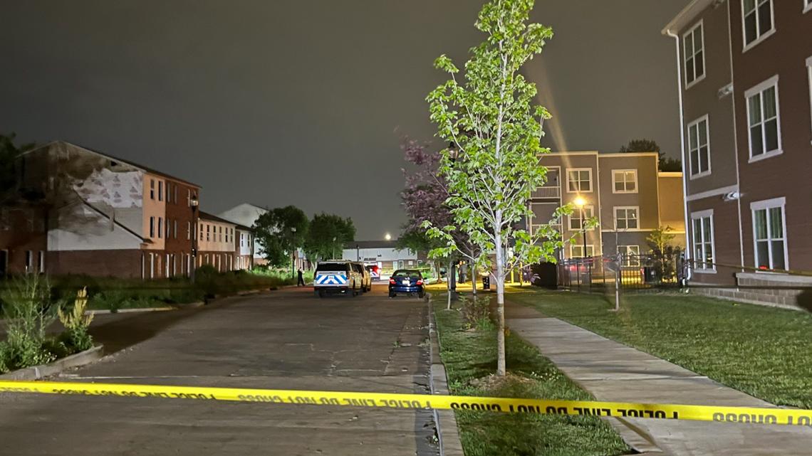 2 dead, 3 injured after shooting erupts during large fight in St. Louis ...