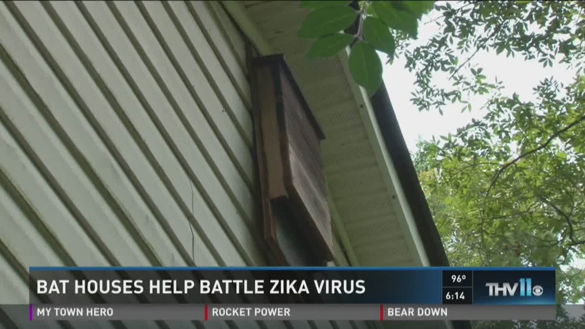 How bat houses are helping fight Zika virus | kvue.com