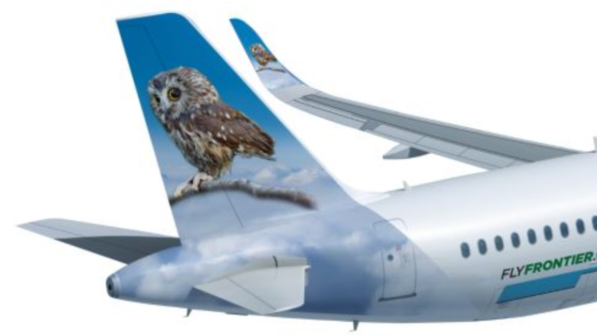 Rockefeller Center Christmas Tree owl immortalized on plane tail | kvue.com
