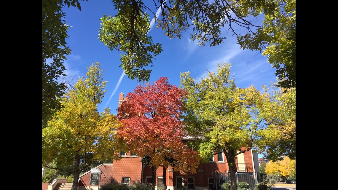 9 awesome walks to see fall colors in and around Denver | kvue.com
