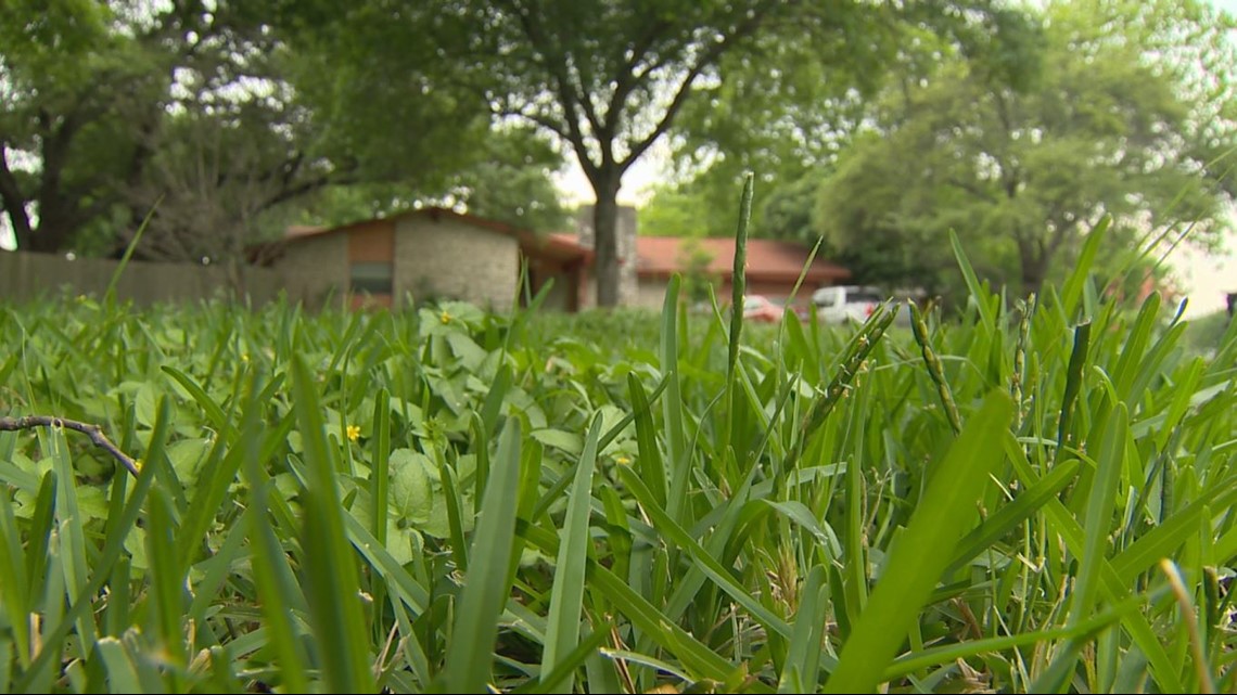 Prolonged rain expected to impact many Austin businesses | kvue.com