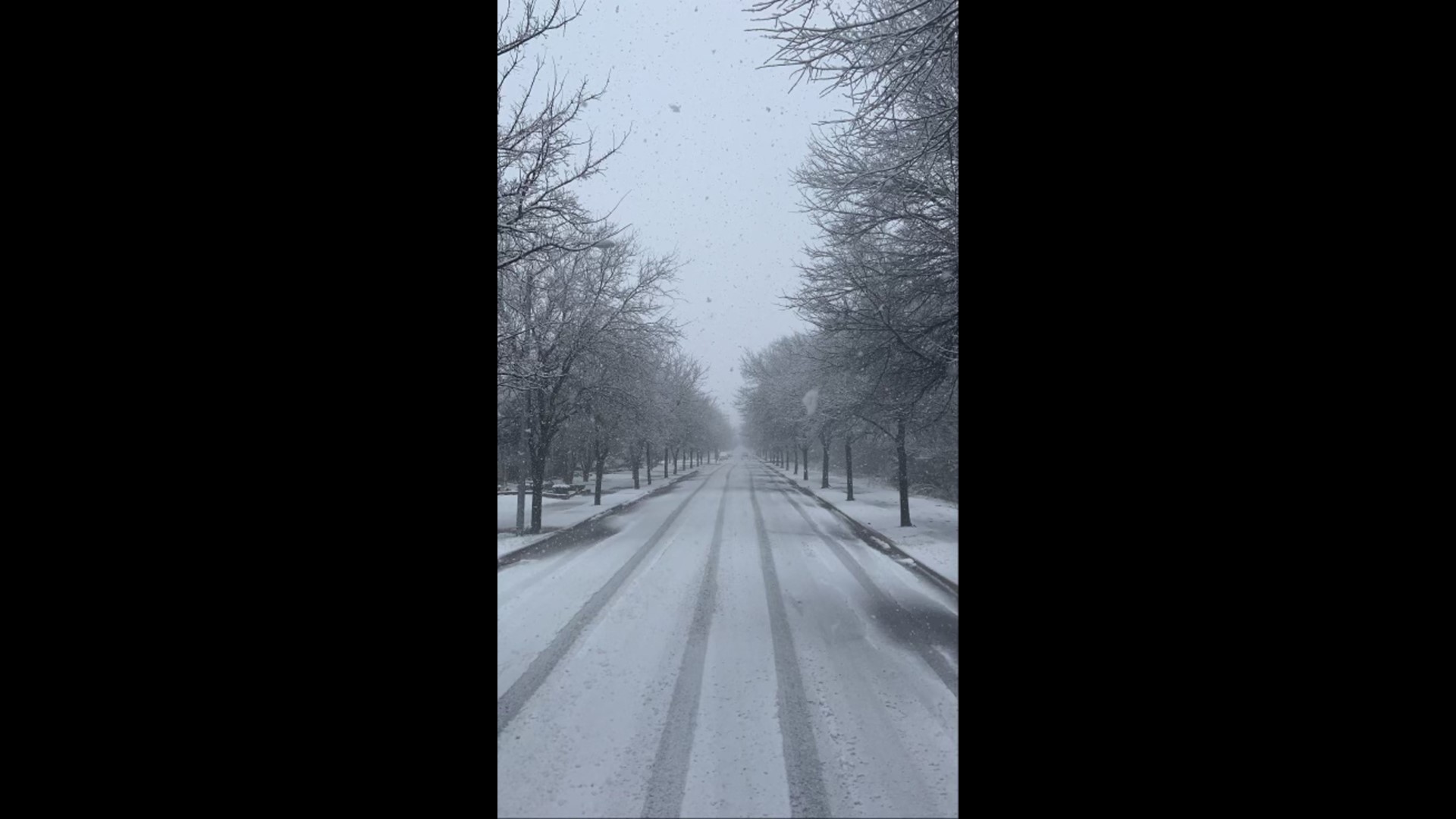 Austin area snowfall totals, Jan. 10, 2021 | kvue.com