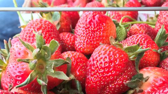 Sweet Berry Farm Marble Falls still open | kvue.com