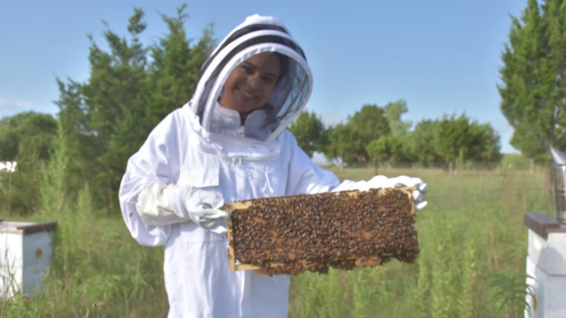 Austin beekeeper looking after 5 million bees and counting | kvue.com