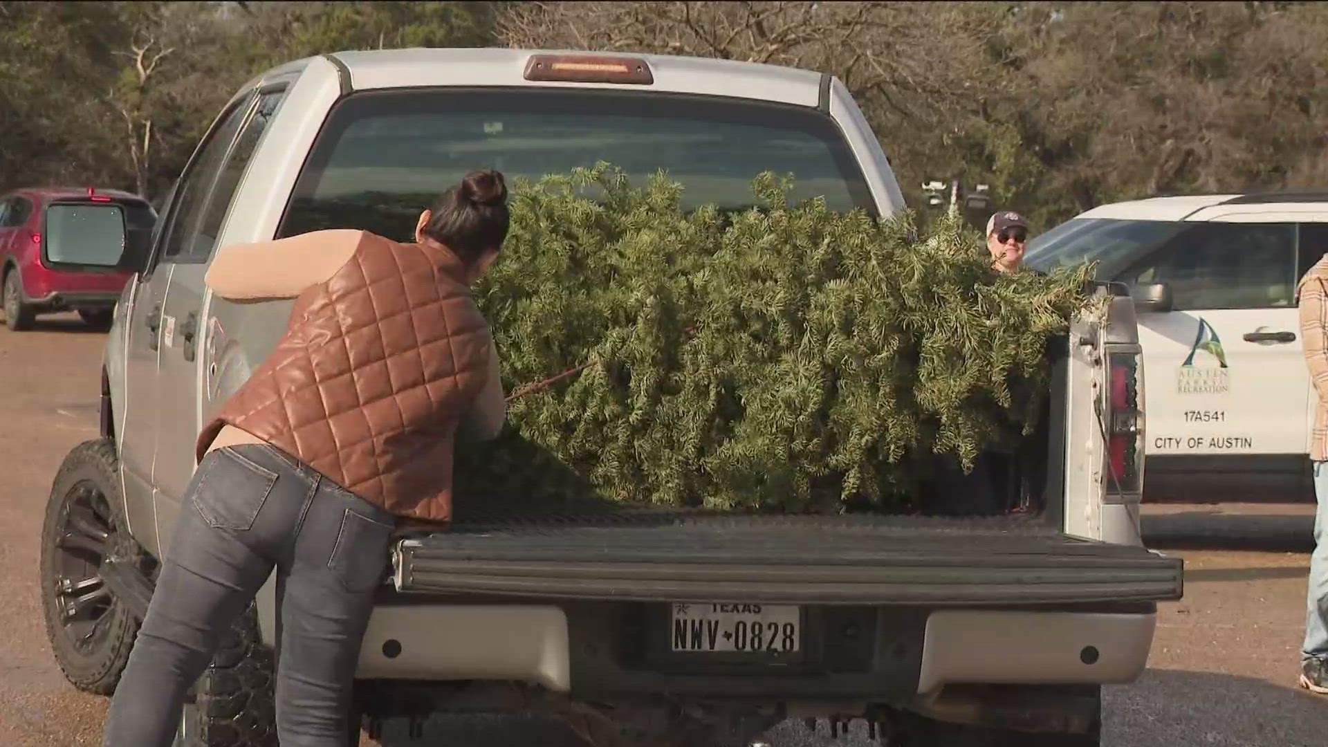 Here is how to recycle your tree for free in Central Texas | kvue.com