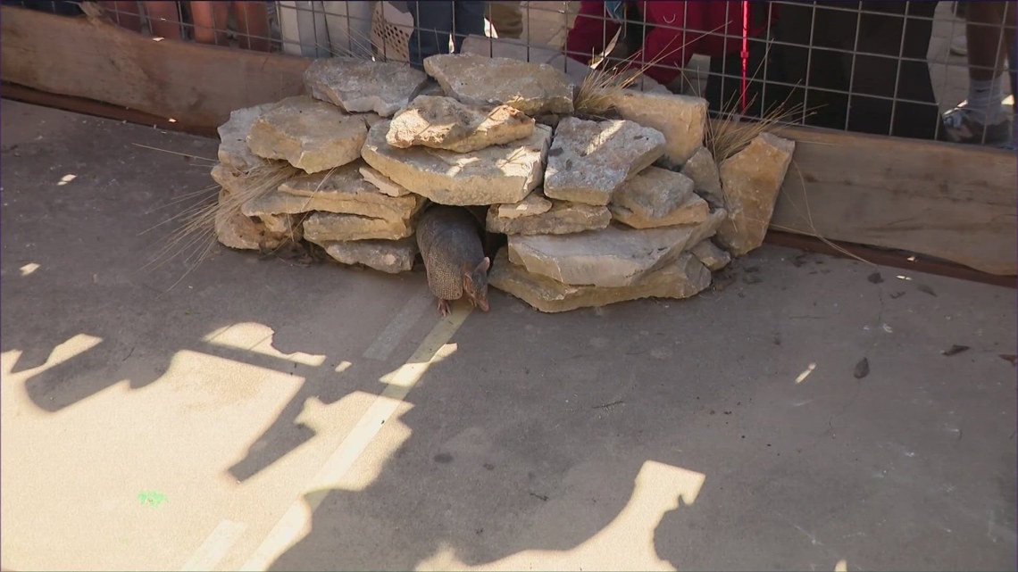 Bee Cave Bob predicts 3 more weeks of winter | kvue.com