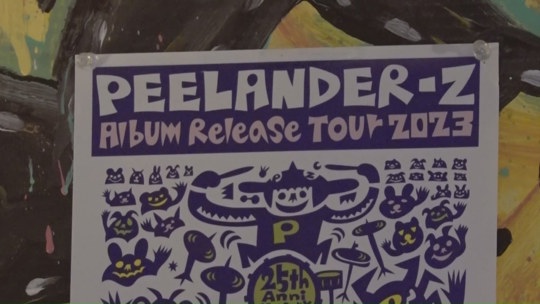 Austin-based band Peelander-Z involved in crash in New Mexico | kvue.com
