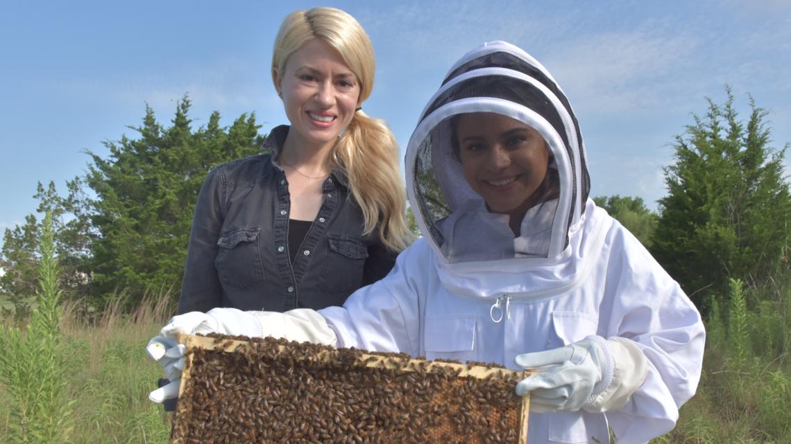 Austin beekeeper looking after 5 million bees and counting | kvue.com