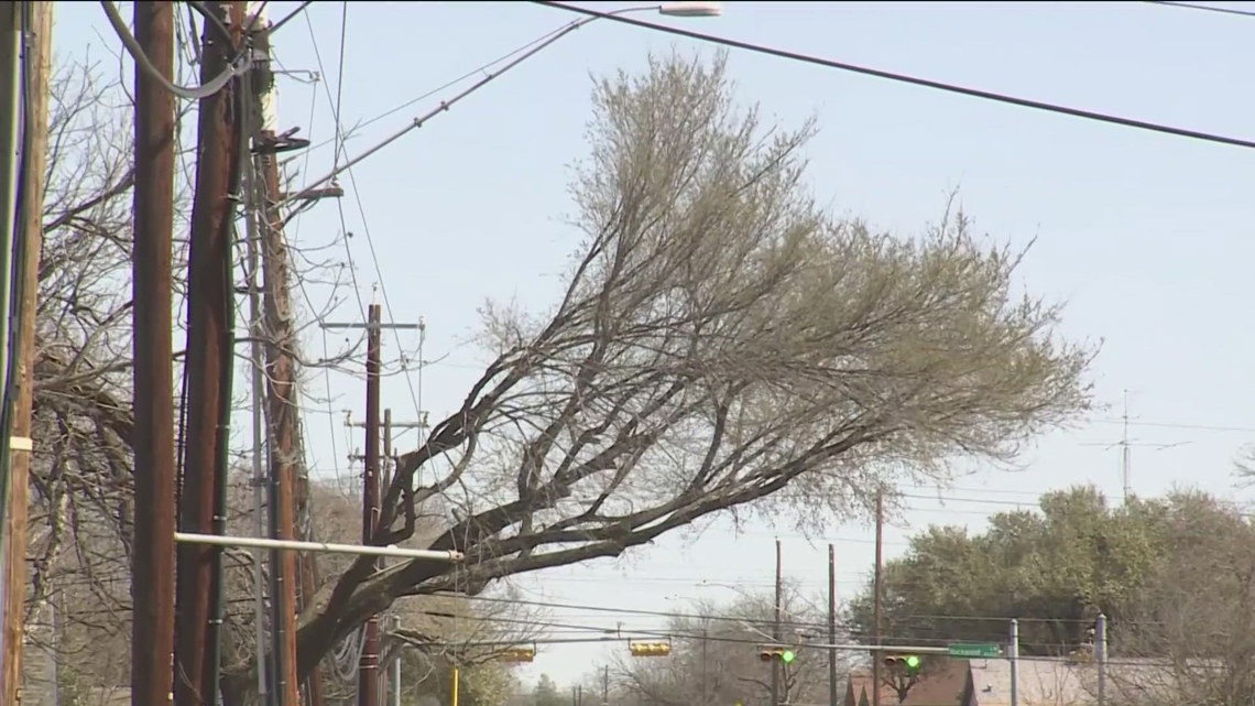 Austin Energy reports power outages due to high winds | kvue.com