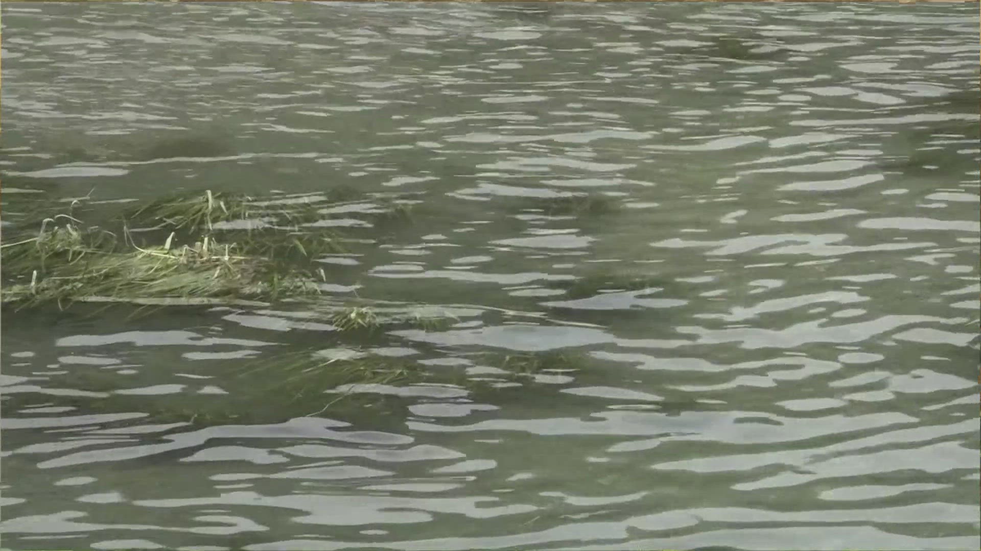 Can ban approved for San Marcos River, various parks | kvue.com