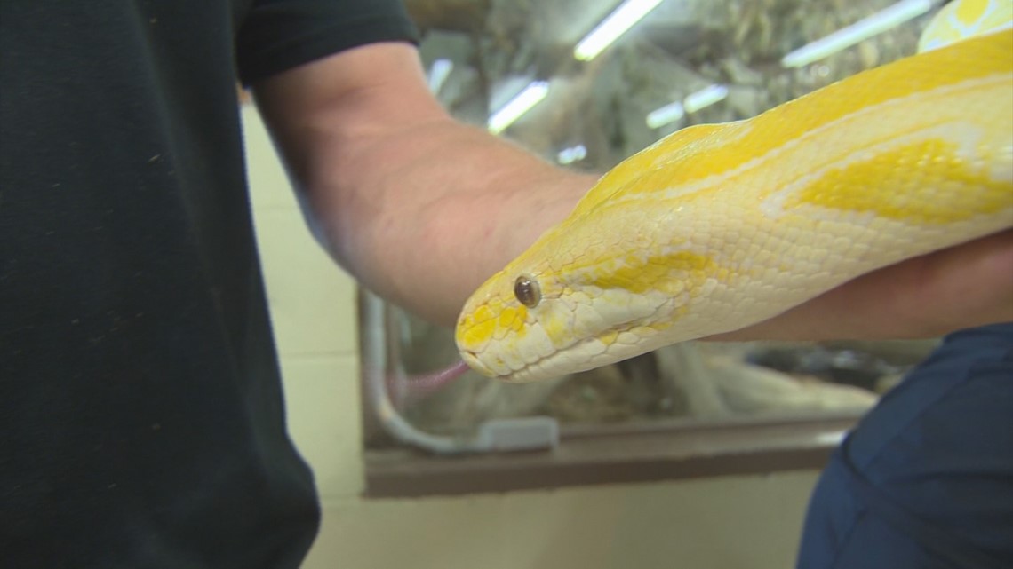 Animal World and Snake Farm Zoo in New Braunfels experience | kvue.com