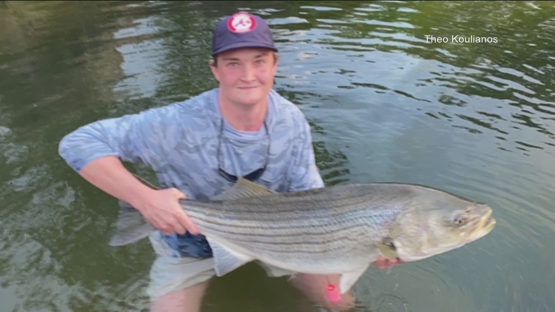 Fisherman catches 31.5-pound bass in Lady Bird Lake | kvue.com