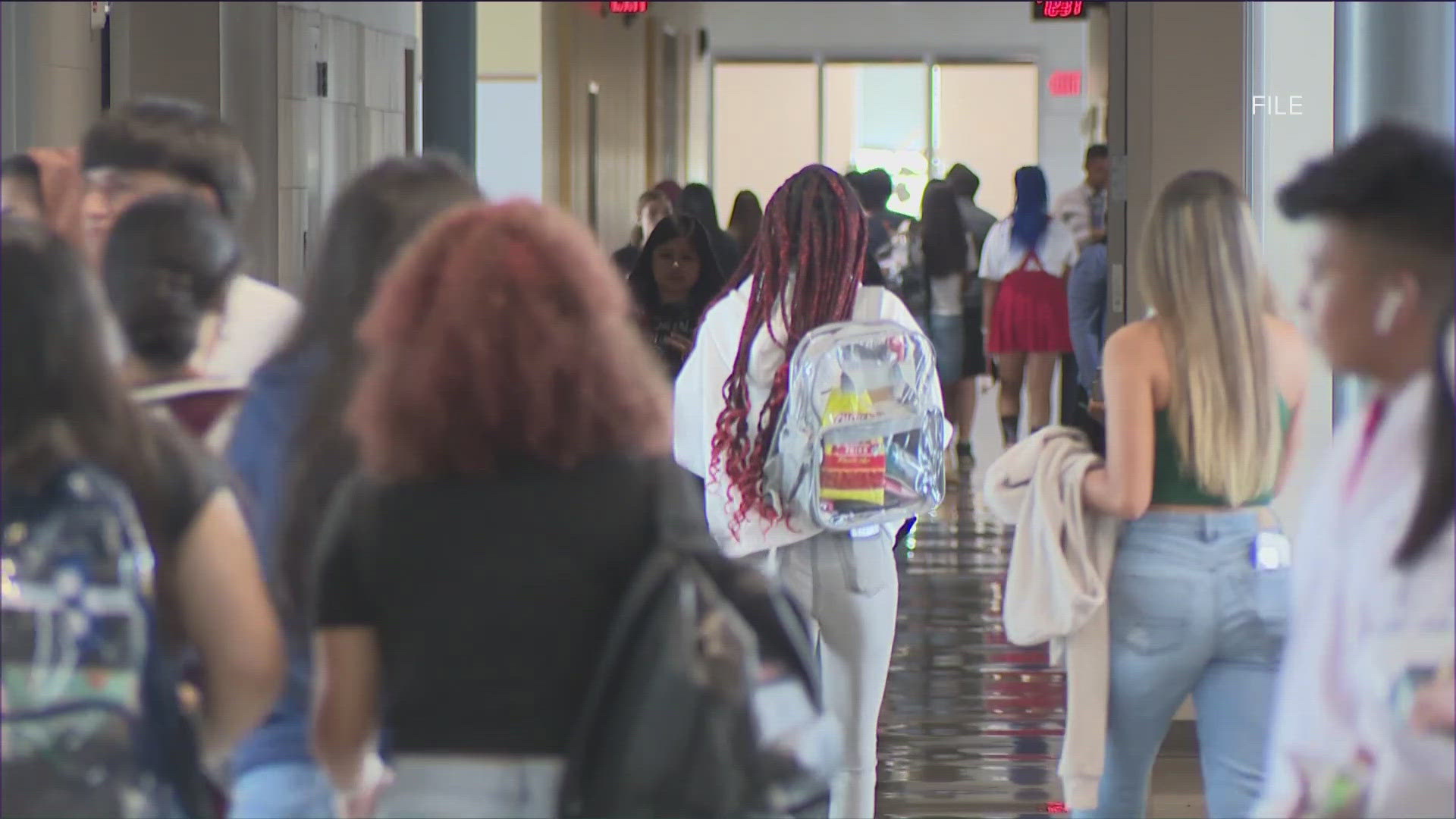 Texas Senate bill would end DEI programs in public schools | kvue.com