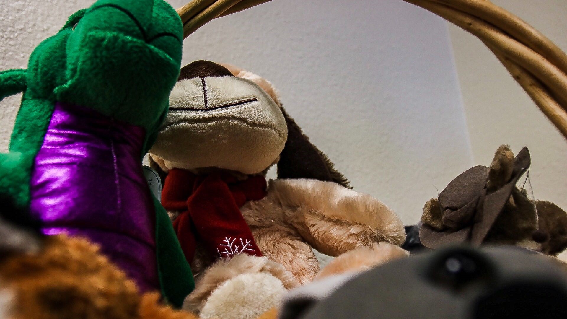 Travis County CPS judge uses stuffed animals to help children going ...