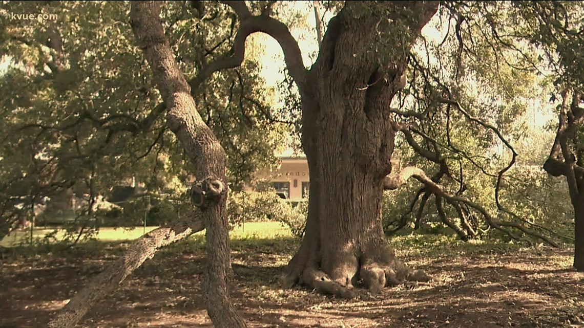 KVUE's 50th Anniversary: Bizarre story of the man who poisoned Austin’s ...