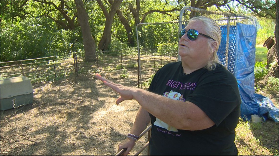 Texas game warden says mountain lion may be killing pets in Georgetown ...