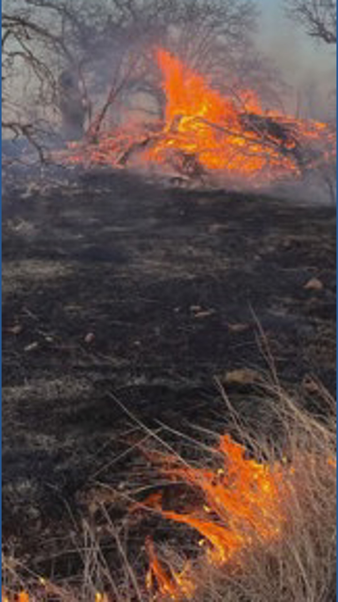 Fire in Gillespie County grows to roughly 1,000 acres | kvue.com