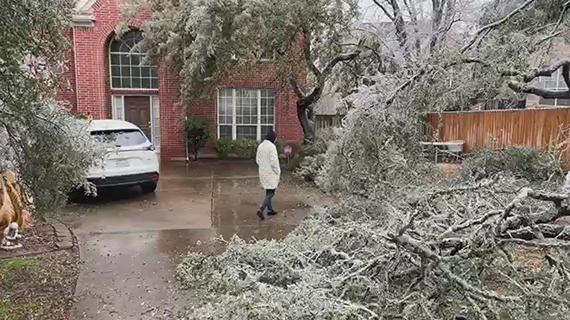 Mayor Watson gives disaster declaration update for Austin | kvue.com