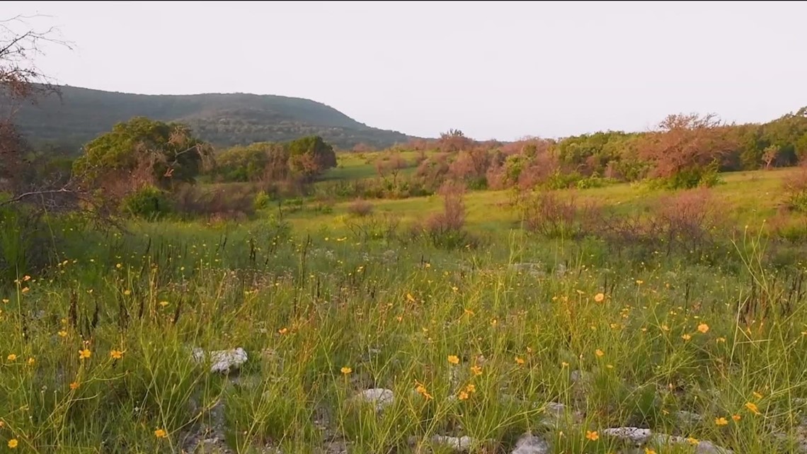 Balcones Canyonlands Wildlife Refuge celebrates its 30th birthday this ...